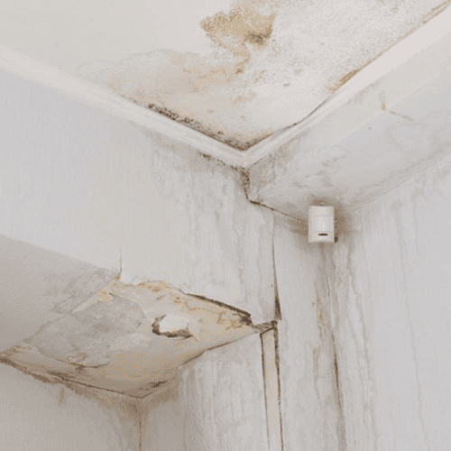 7 Types of Water Ceiling Leakage Repair | Common Ceiling Leakage Repair